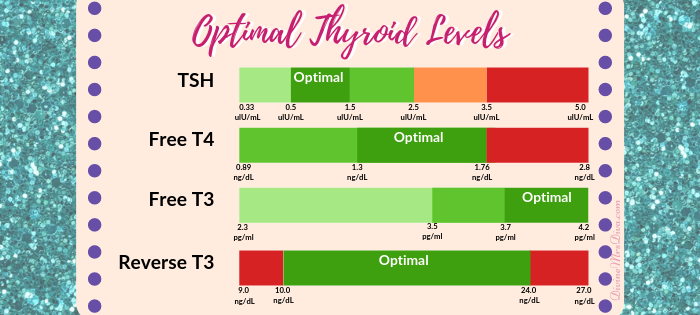 Thyroid Health Resources - Discourse of a Divine Diva {Plus Size Fashion, Recipes, DIY, Beauty ...